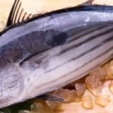 Come cucinare il palombo: ricette facili e gustose | Galbani